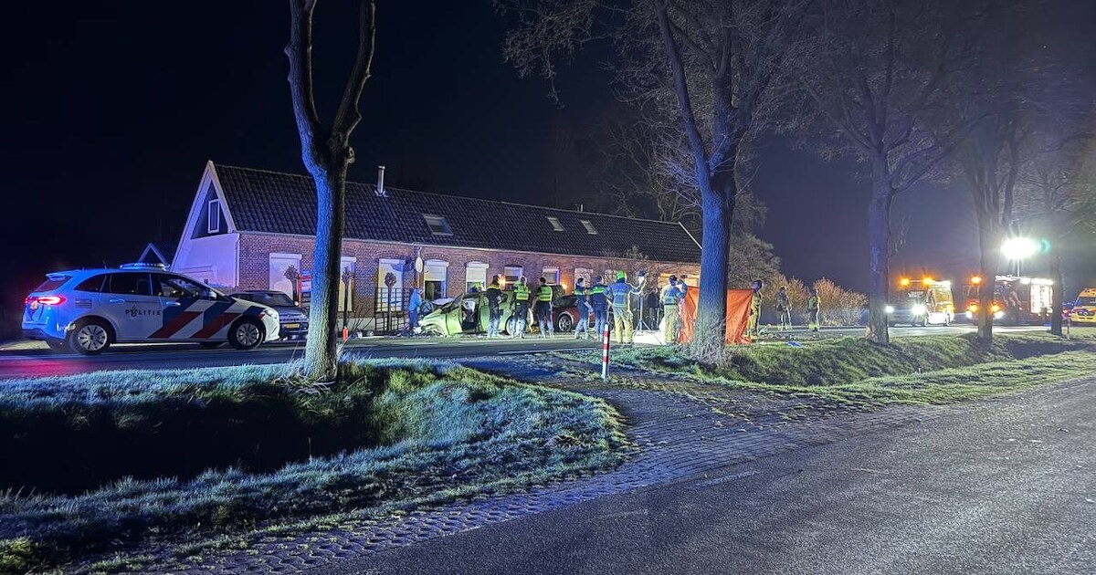 Dode bij ernstig ongeluk op N318; tweede inzittende zwaargewond | Home ...