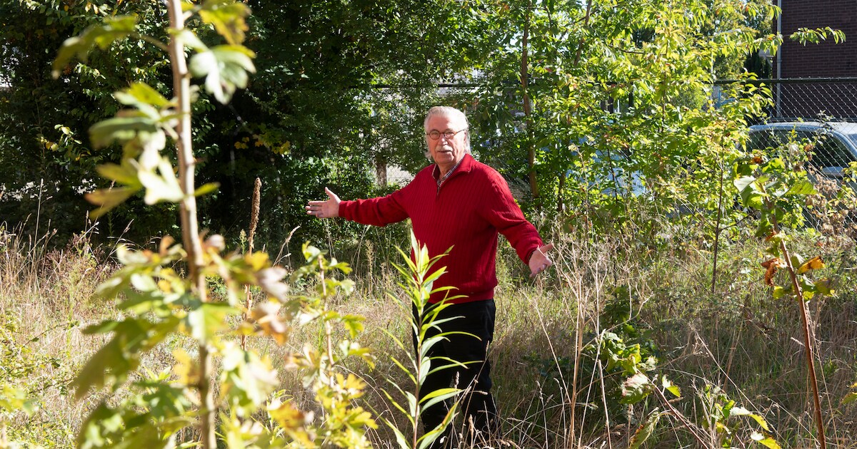 Peter wist het opeens: deze ‘rotte kies’ in het centrum van Raalte ...