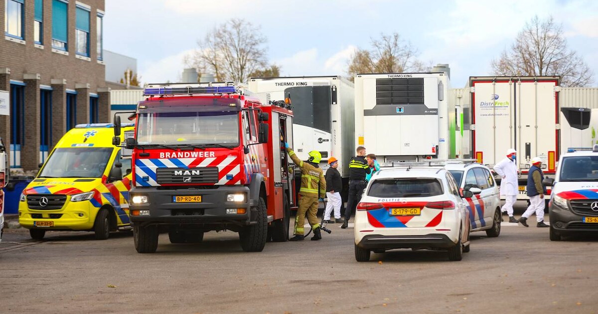 Veel hulpdiensten bij slachterij in Apeldoorn, medewerker zit met mouw ...