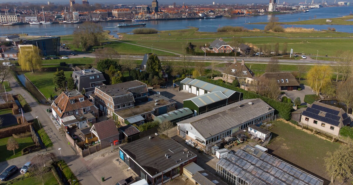 Vervuilde grond in IJsselmuiden blijft voorlopig liggen: beschermde ...