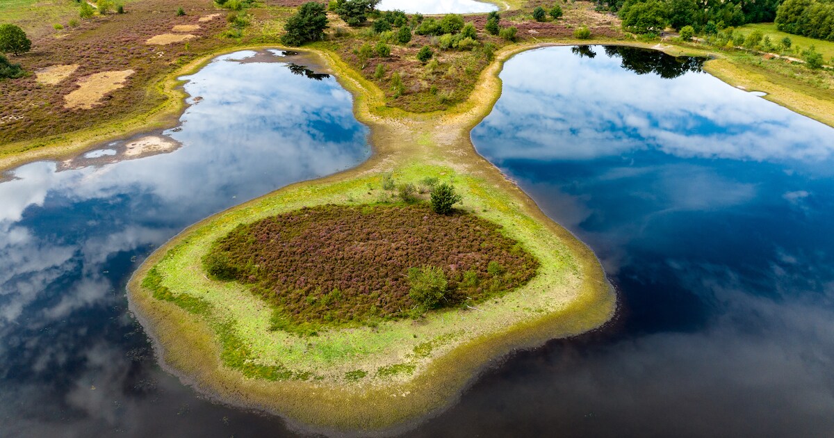 Everglades in Florida? Nee, dit magische plekje vind je gewoon in ...