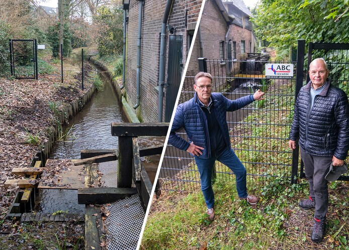 Ze mogen zich niet met dit hek bemoeien, maar daar hebben Theo en ...