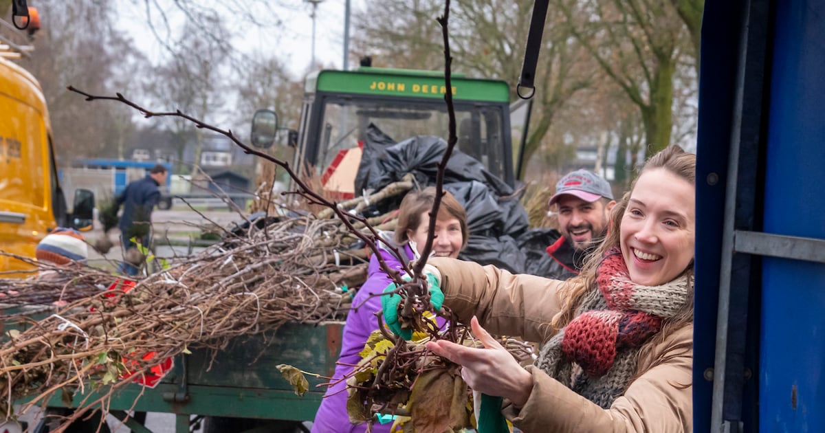 Buitengebied Putten krijgt streekeigen beplanting: ‘Een groen lint van ...
