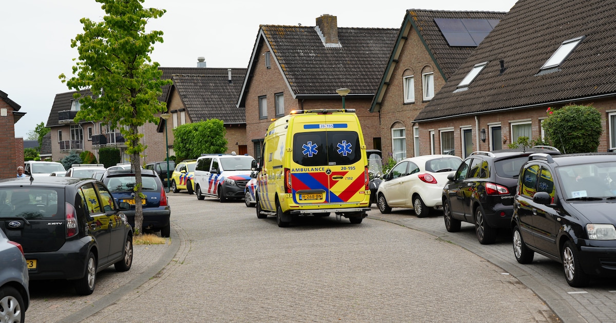 Overleden vrouw onder verdachte omstandigheden gevonden in zwembad, man ...