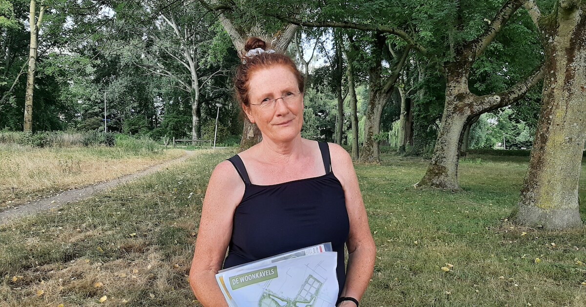 Bezwaren van buurtbewoonster aan de kant gezet, nieuwe woningen in ...