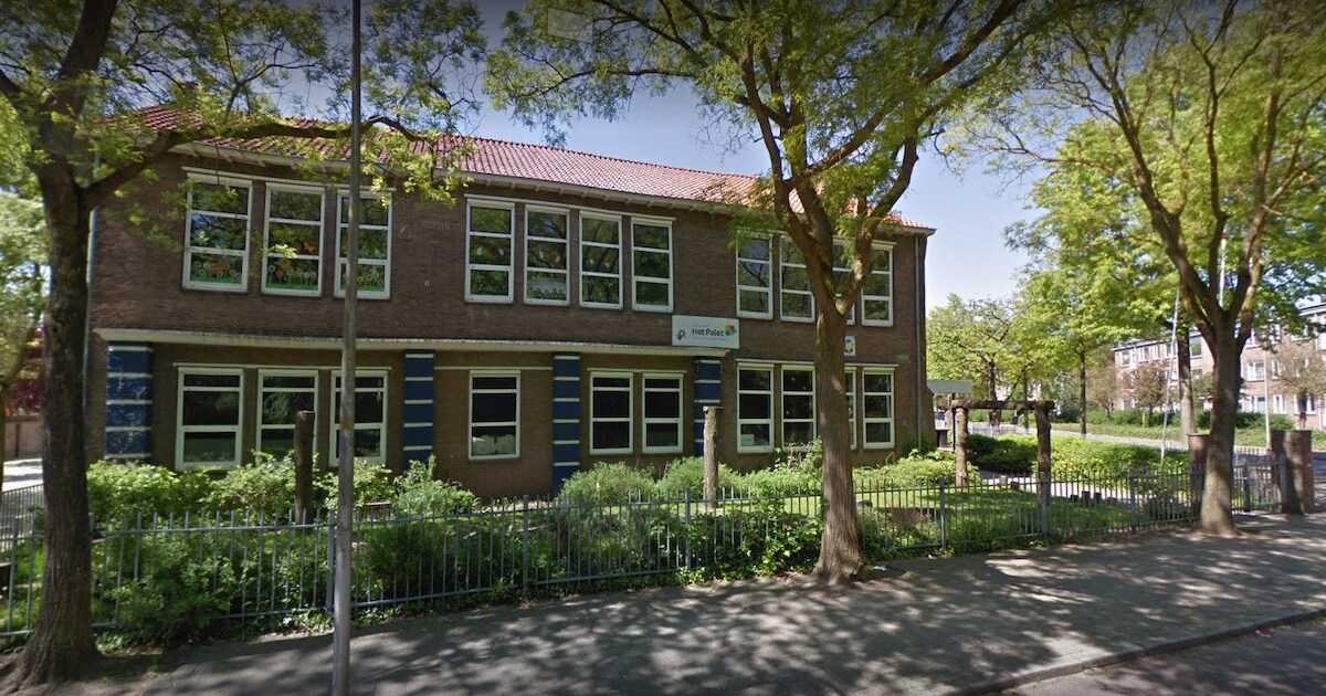 Tropenrooster op scholen, opvang geregeld | Deventer | destentor.nl