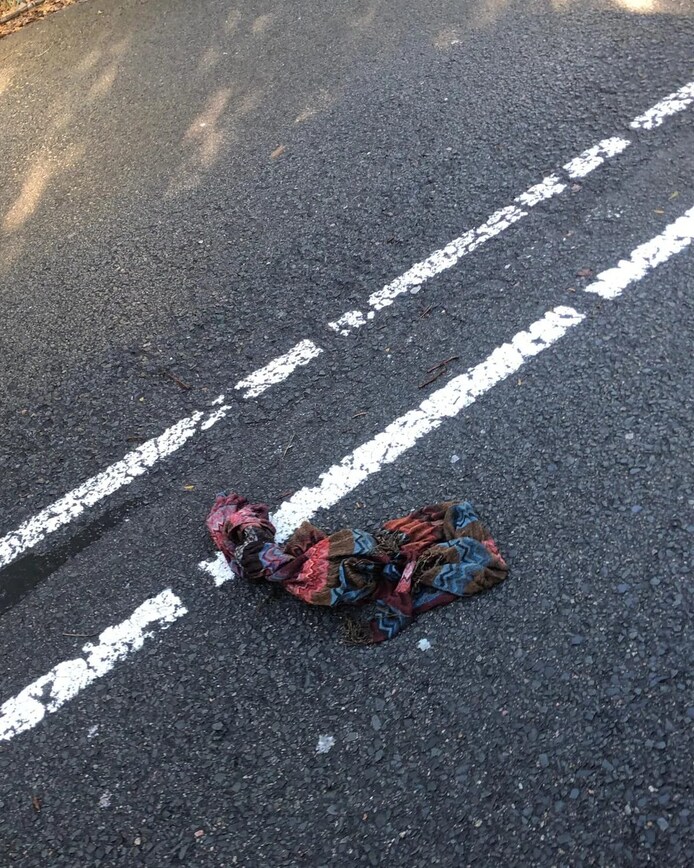 Bloederig dood dier in Harderwijk blijkt toch echt iets anders te zijn ...