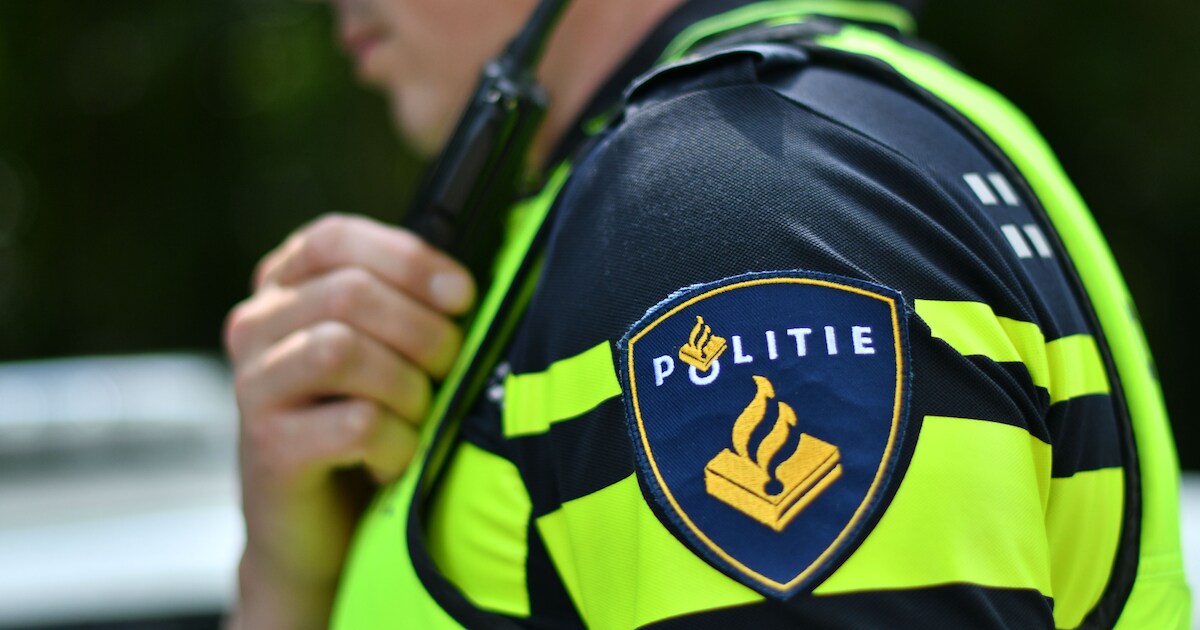 Broer laat zusje (14) na ruzie auto besturen: wagen rijdt met 20 km per ...