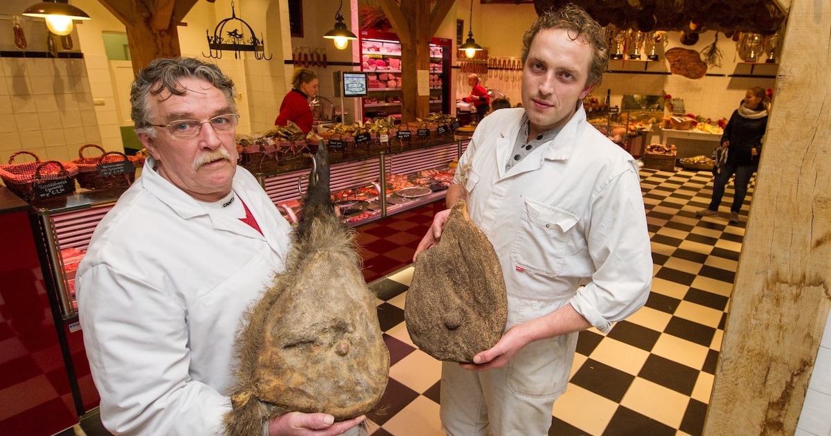Slager wil Dalfsen weer verlaten: 'een nachtmerrie' | Dalfsen | De ...
