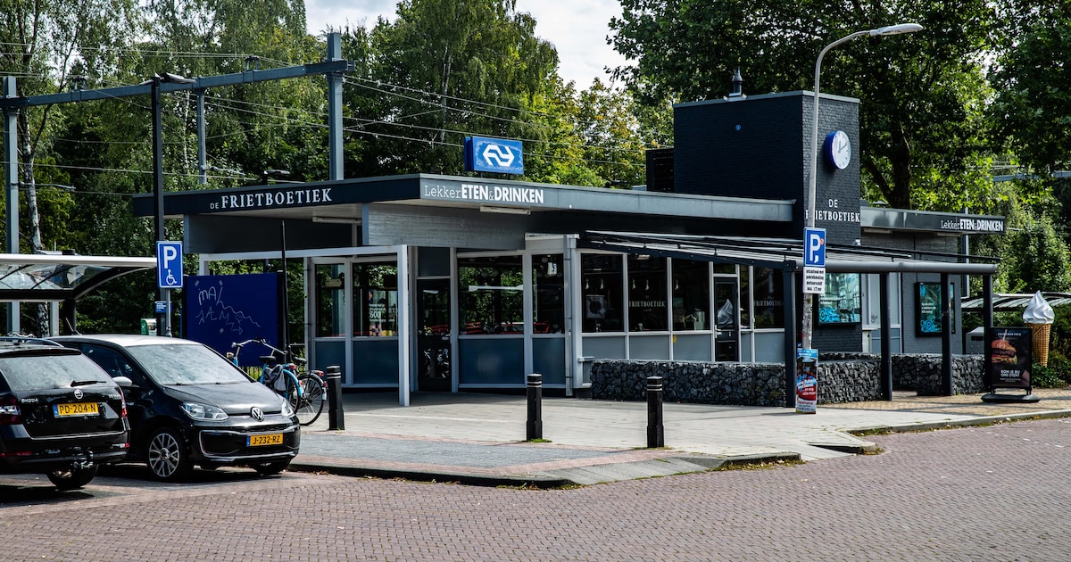Spontane actie op station Raalte brengt verdachte (22) alleen maar ...