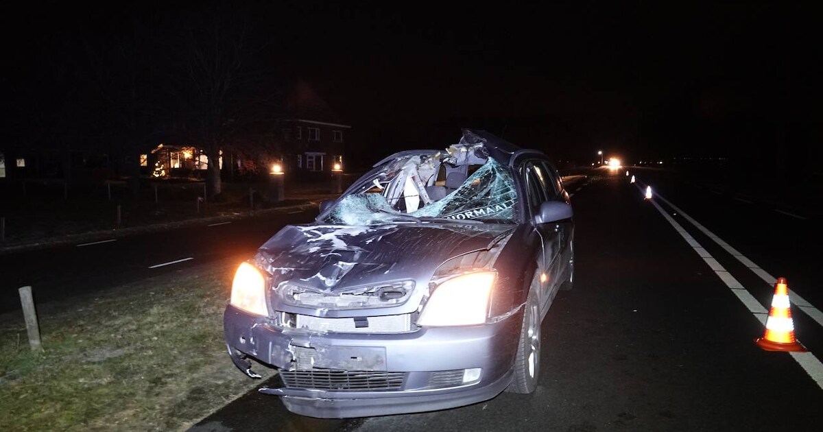 Losgebroken paard dood na aanrijding met auto in Bergentheim, bestuurder gewond naar ziekenhuis ...