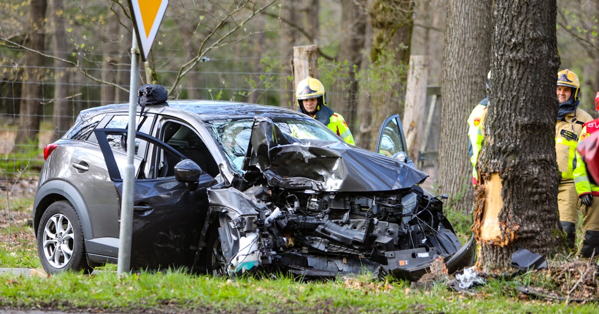 Twee gewonden bij frontale botsing tegen boom bij Hoog Soeren | Apeldoorn | De Stentor.nl