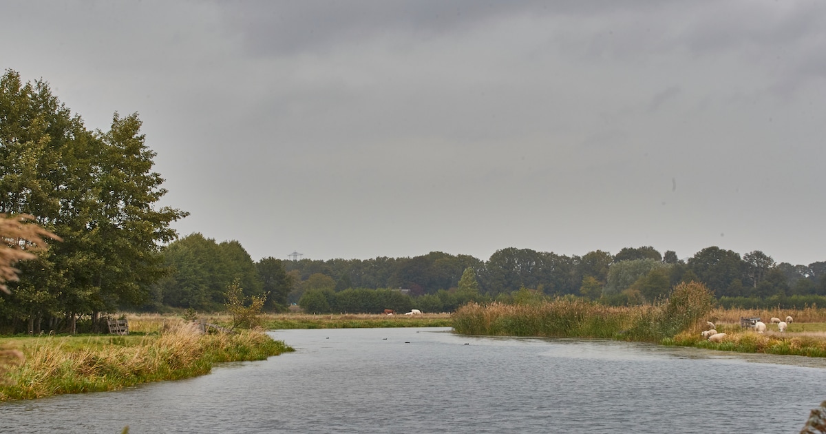 Brug voor boeren in Almen dichtbij, maar oversteek voor wandelaars nog ...