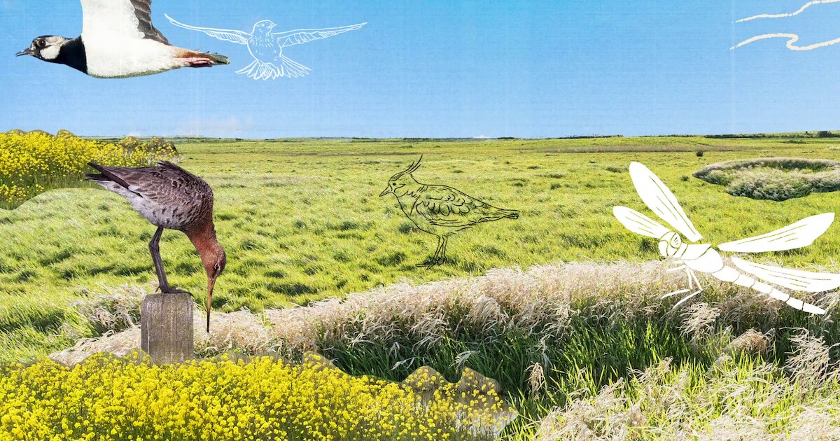 Directeur-bestuurder Ben Huisman verlaat Het Flevo-landschap | Lelystad ...