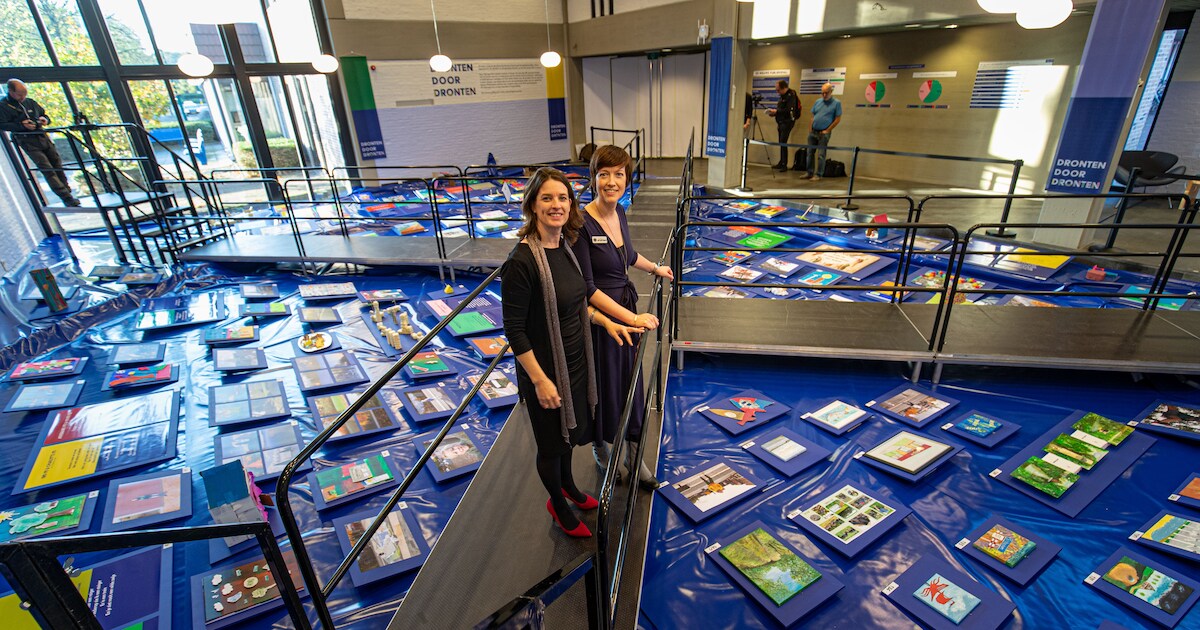 Blauwe zee van kunstwerken toont schoonheid van Dronten | Dronten | De ...