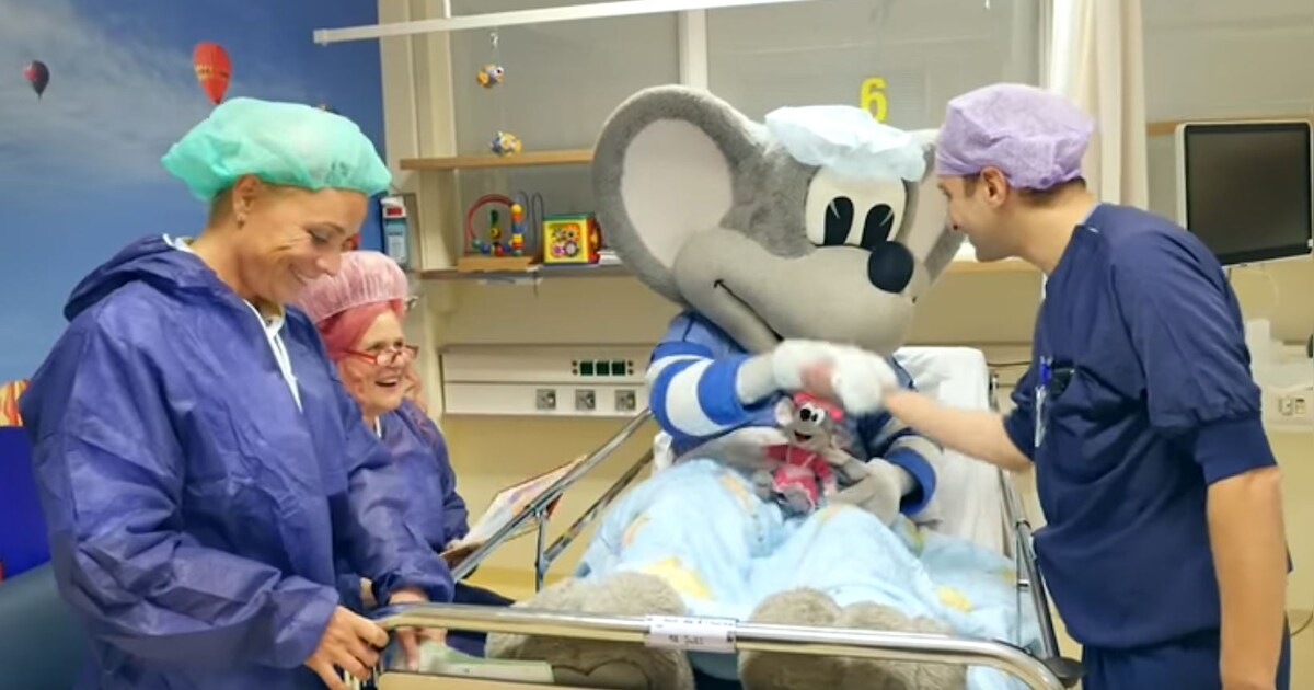 Hoofdrol Jul de Muis in voorlichtingsfilmpje Gelre | Apeldoorn ...