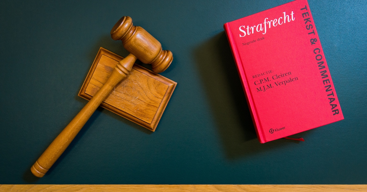 Moeten daders zwaarder gestraft worden? Criminoloog Catrien Bijleveld ...