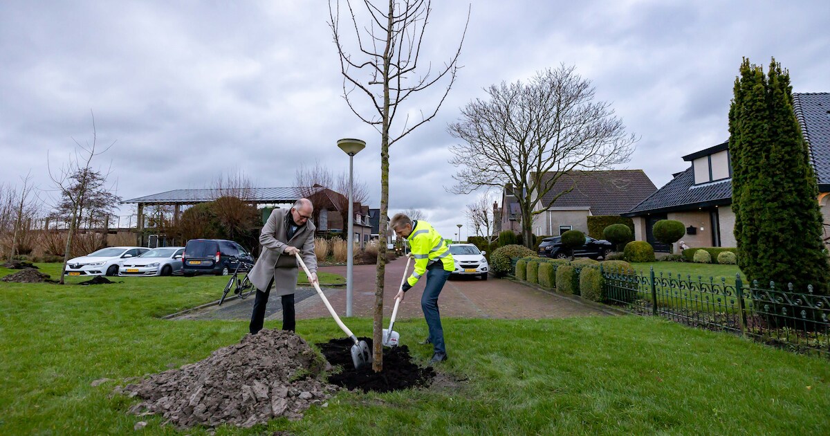 Steeds minder troep in de gft-containers van inwoners Zwartewaterland ...