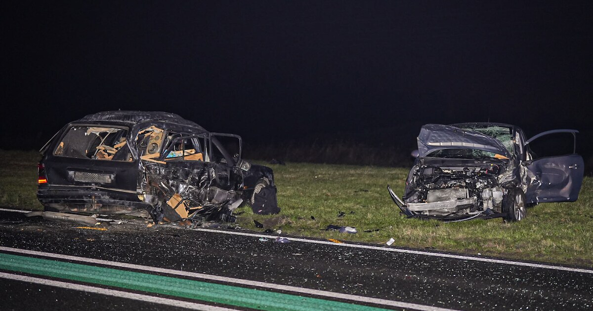 Te veel gedronken en ‘asociaal rijgedrag’: dode honden en gewonden bij ernstig ongeluk op ...