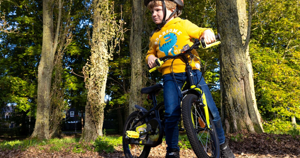 ‘Promoot de fietshelm veel meer, we kunnen niet blijven accepteren dat ...