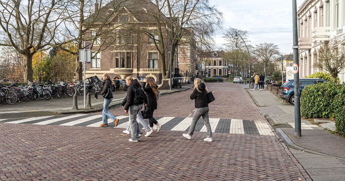 Man (23) krijgt ruzie met bezorger en rijdt hem aan in Zwolle: ‘Dacht ...