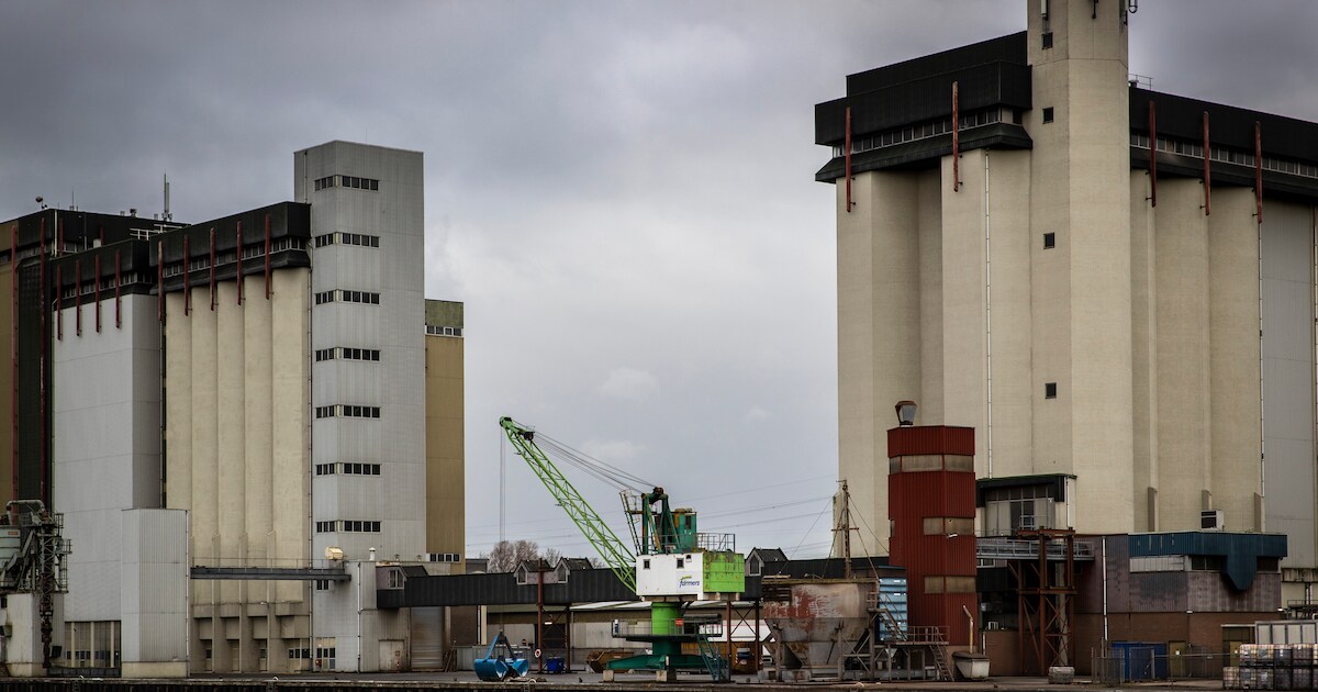 ForFarmers in zwaar weer: zo wil bedrijf uit Lochem onze krimpende ...