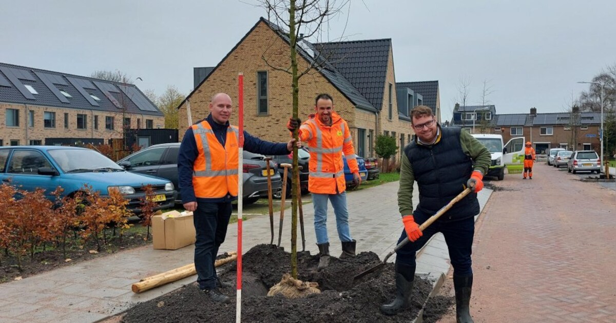 Herinrichting Troelstralaan en Groen van Prinstererlaan in Baarn bijna voltooid | Amersfoort ...