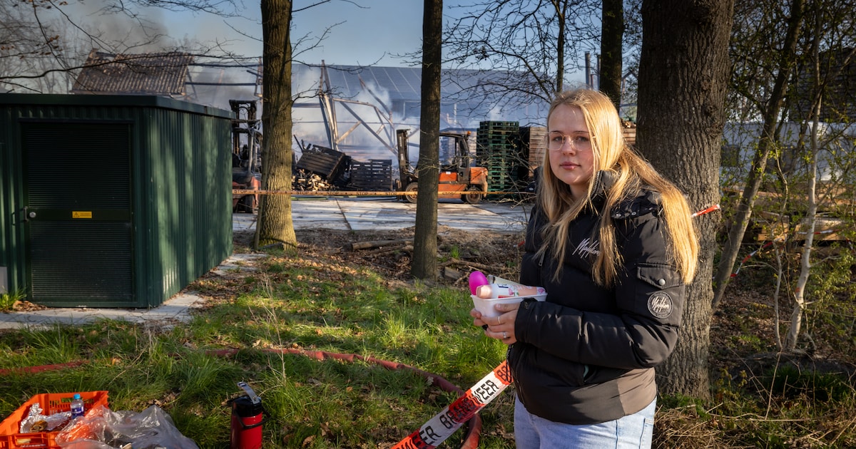 De hond is onrustig, en als Amy’s moeder de gordijnen open doet, ziet ...