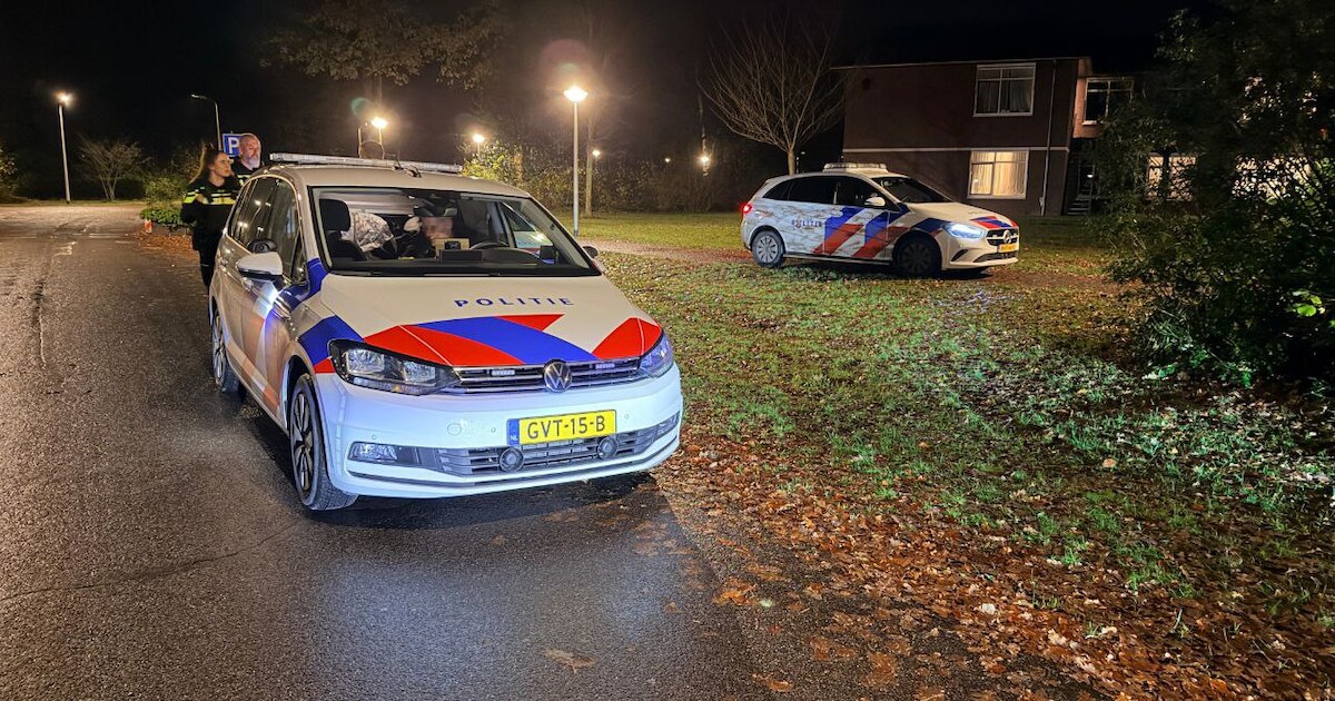 Zoektocht naar een man die vrouw zou hebben betast bij station Ermelo ...