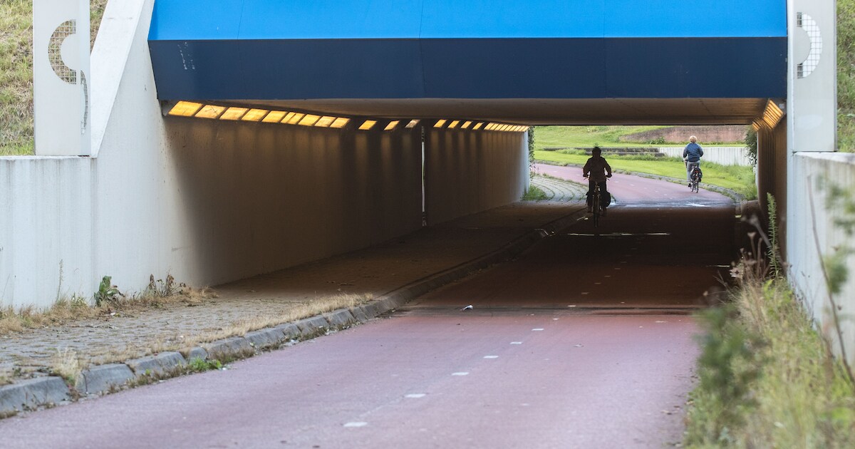 Tbs van man die in 2004 een meisje verkrachtte in de Hortensiatunnel in ...
