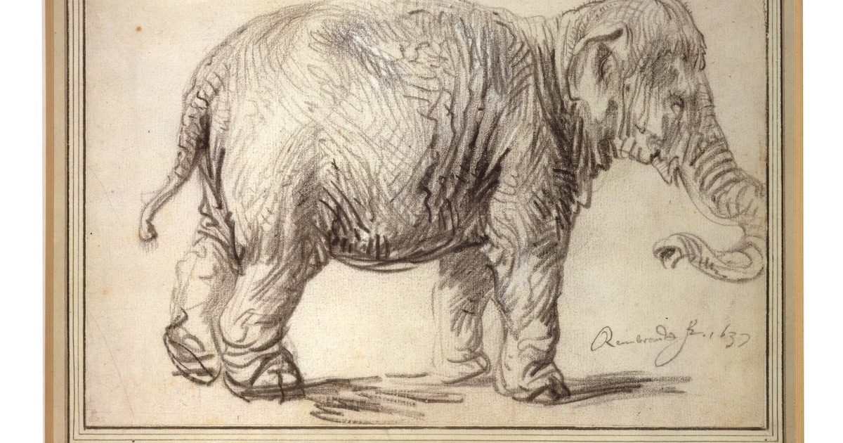 Kunsthistoricus Jaap Nijstad vertelt over dieren in beeldende kunst in ...