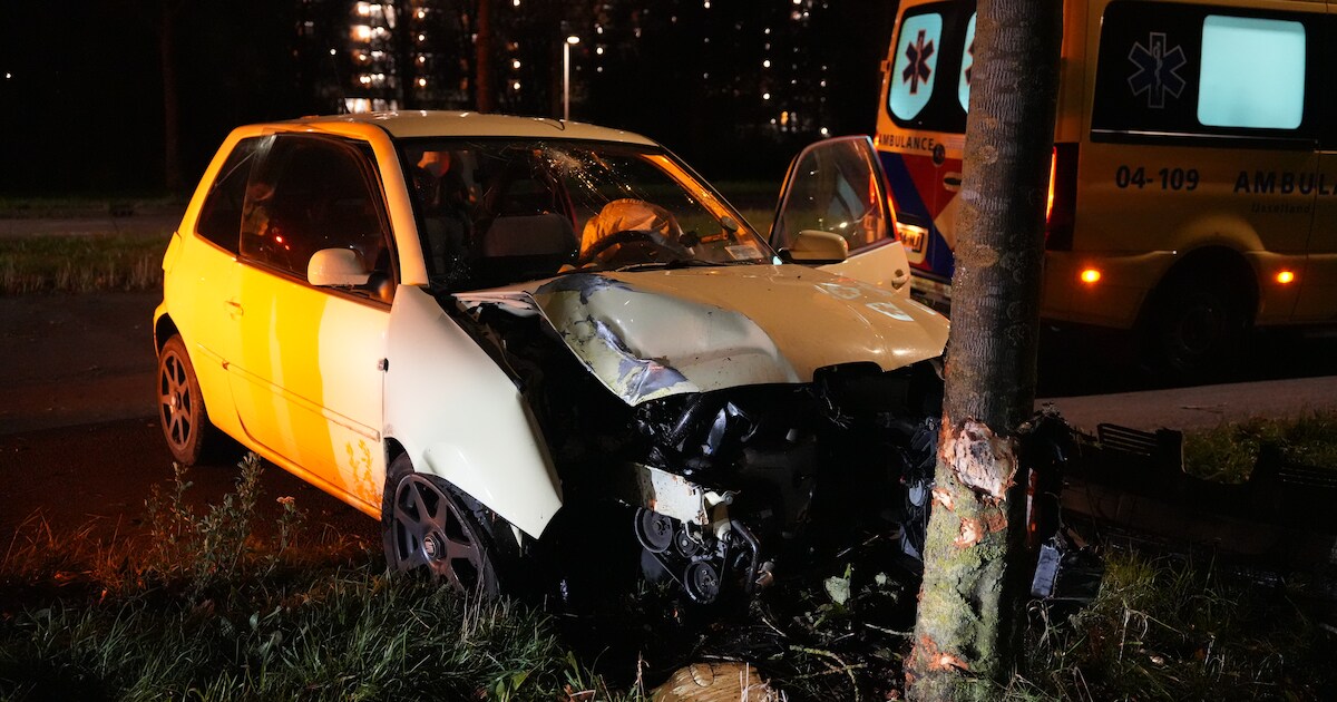 Auto zwaar beschadigd door botsing tegen boom in Zwolle | Regio | De ...