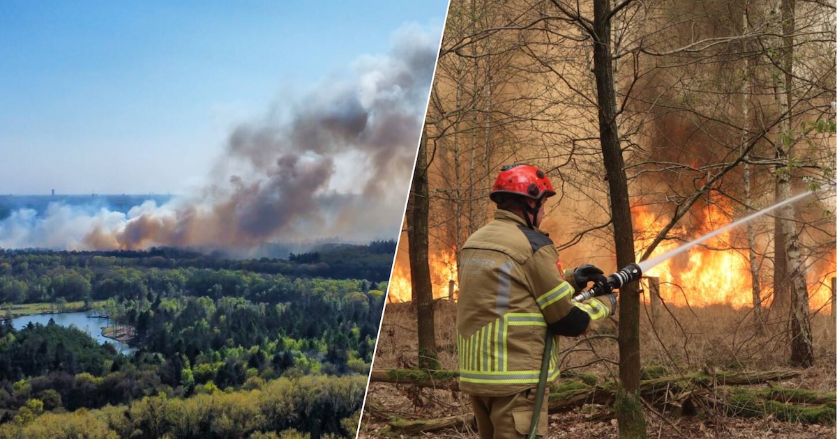 Brandweer in Brabant bestrijdt ‘zeer grote bosbrand’: rook in wijde ...
