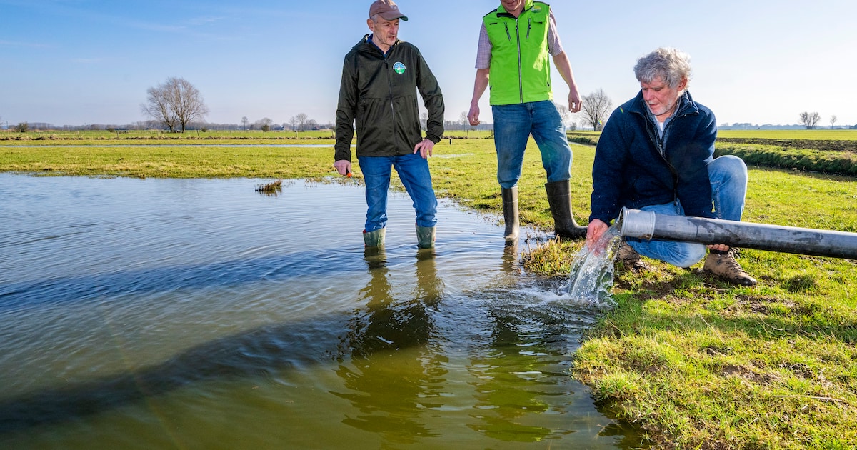Boer Eric zet weiland langs A50 expres onder water: goed voor de natuur ...
