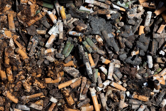 Hondendrollen in een keurig zakje in de bosjes: Wendy kijkt nergens ...