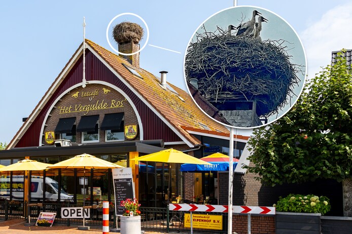 De bekendste vaste gasten van Het Vergulde Ros zitten op het dak en je ...