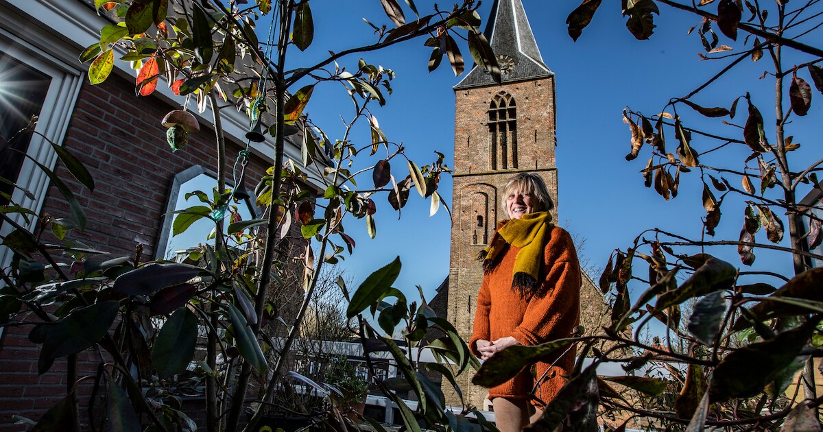 ‘Groen en levendig’ Kerkplein in Olst moet er dit jaar komen: ‘Het ...