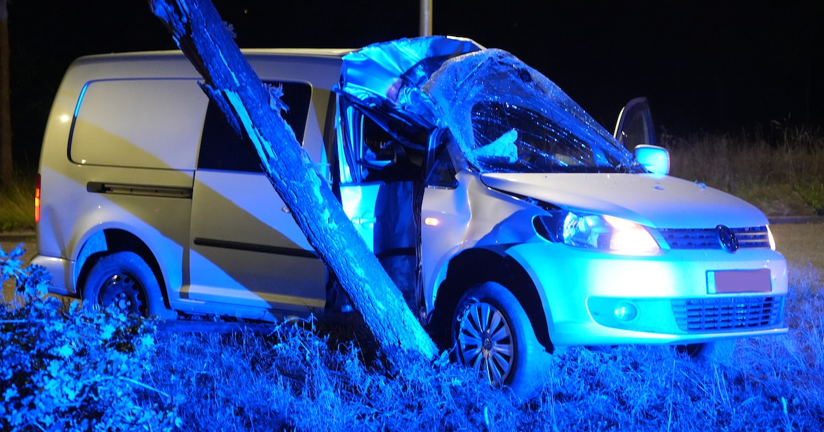 Man (23) rijdt ’s nachts onder invloed tegen een boom aan in Zwolle en ...