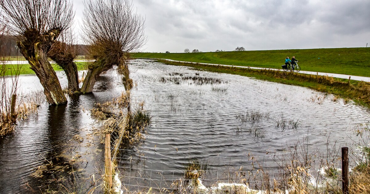 De IJsseldijk tussen Zwolle en Deventer is lek | Zwolle | De Stentor.nl