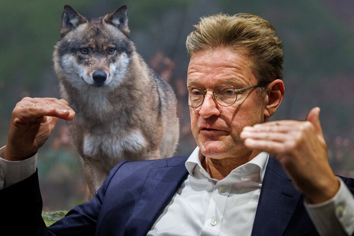 Burgemeesters eisen meer macht in strijd tegen wolven | Steenwijkerland | destentor.nl