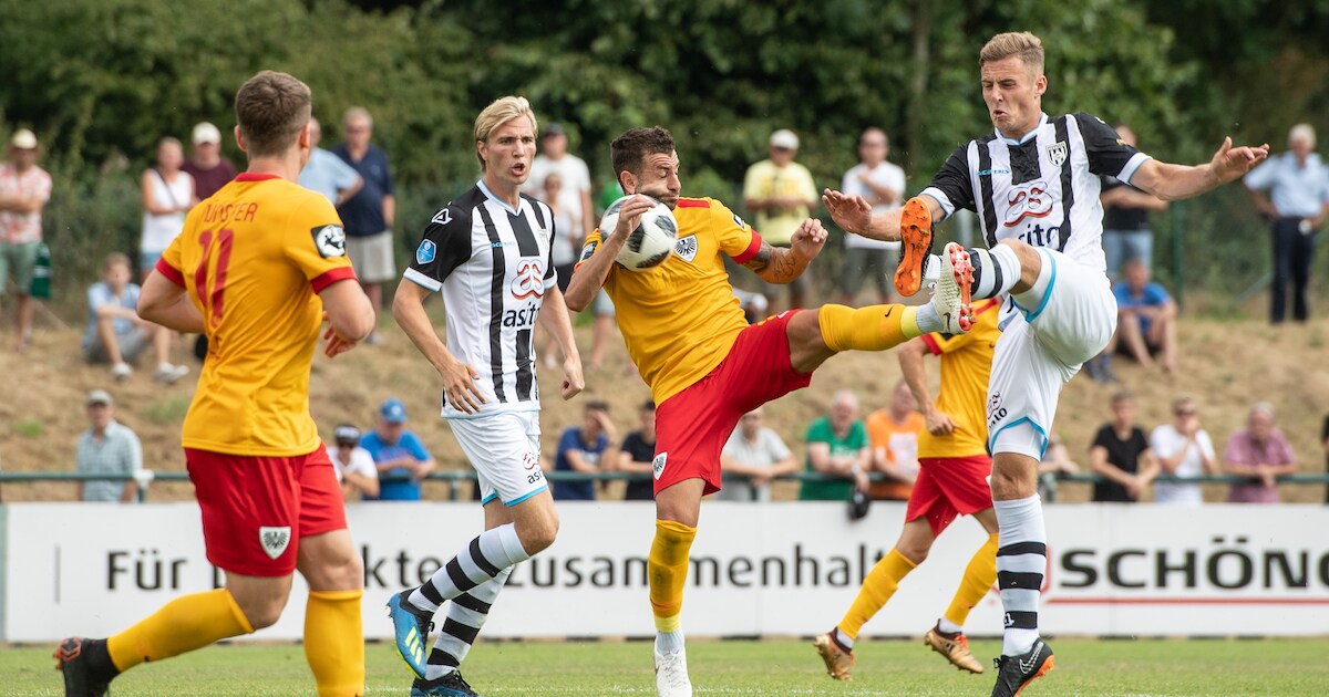 Oud-prof Tim van de Berg stapt in bij DVS'33 | Amateurvoetbal ...