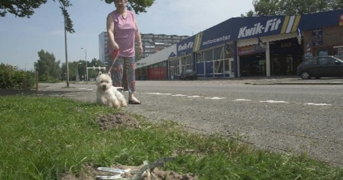 Klemmen ook gevaarlijk voor kinderen | Zwolle | De Stentor.nl