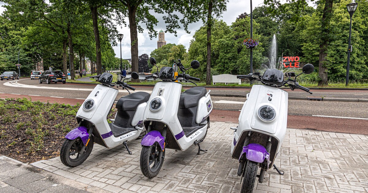 Zo ervaren deelbedrijven Check, Felyx en Go zelf de eerste maand in ...