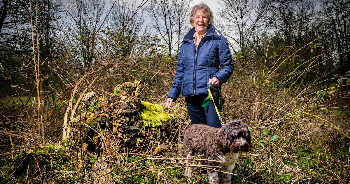 Met ‘Geheim Spel’ levert Tiny (82) uit Apeldoorn het vijfde boek af ...