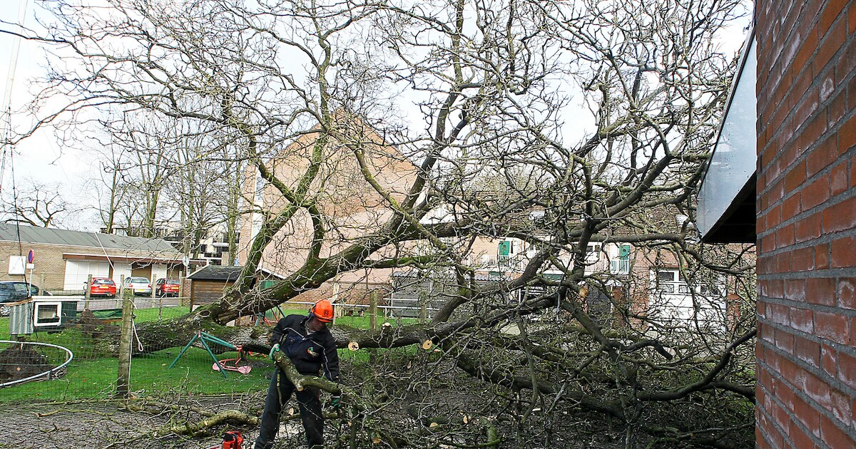 Extreme stormschade in Lochem | Lochem | De Stentor.nl