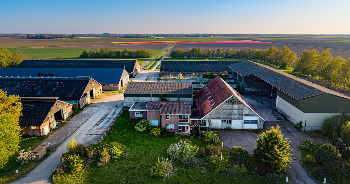 Boer sleept COA voor de rechter en krijgt deels gelijk: ruim 4 ton ...