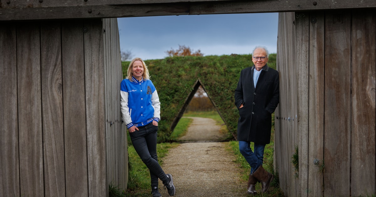 Film ter ere van jubilerend kunstfestival Sunsation Lelystad: ‘Ode aan ...