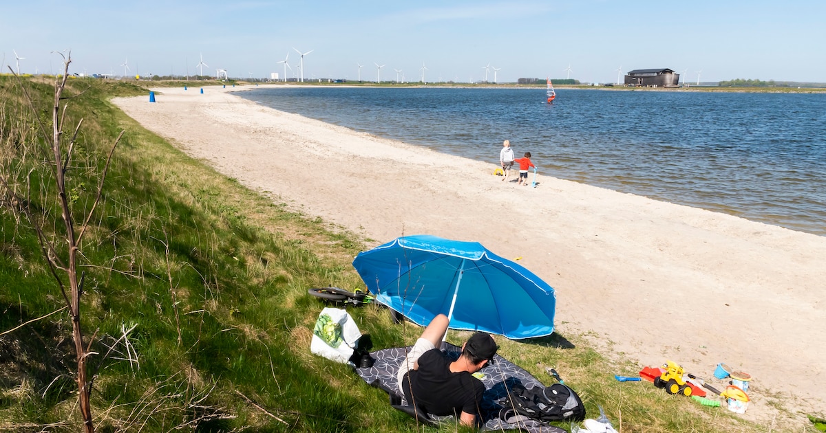 Zeewolde waarschuwt voor blauwalg bij het Lanterstrand | Zeewolde | De ...
