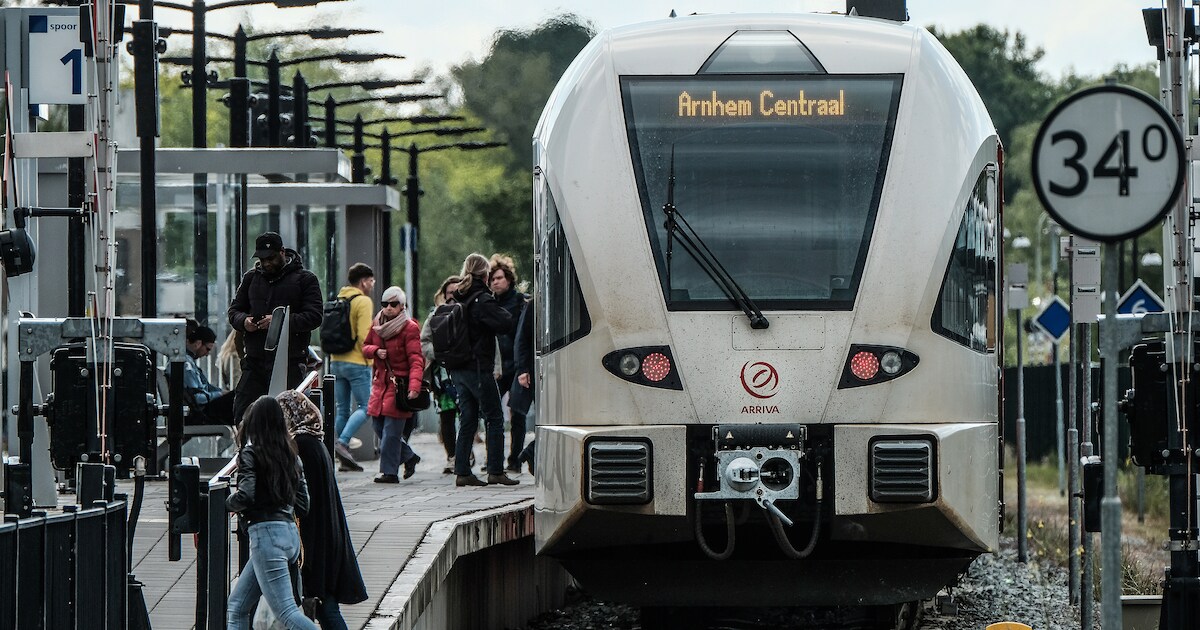 Mishandeling 15-jarige op station Doetinchem: slachtoffer vlucht over ...