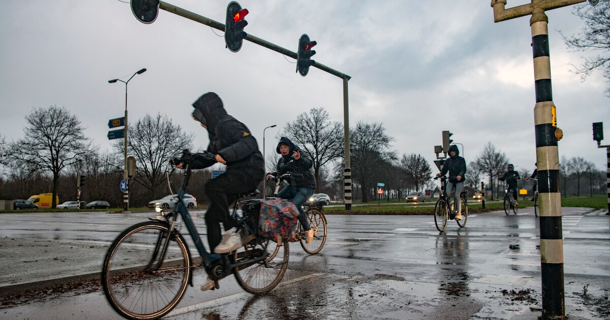 Fietsers bij Raalter kruispunt Bos willen dolgraag een flitspaal: ‘Bang ...